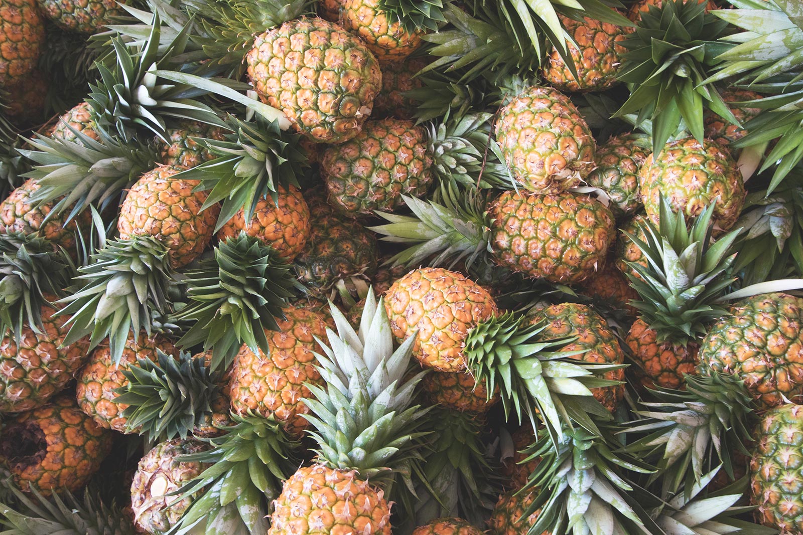 La Compagnie Fruitière. Du bananier au magasin: producteur ...